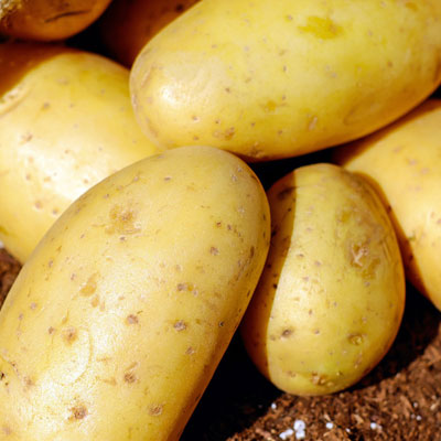 Potatoes - Op del Garda